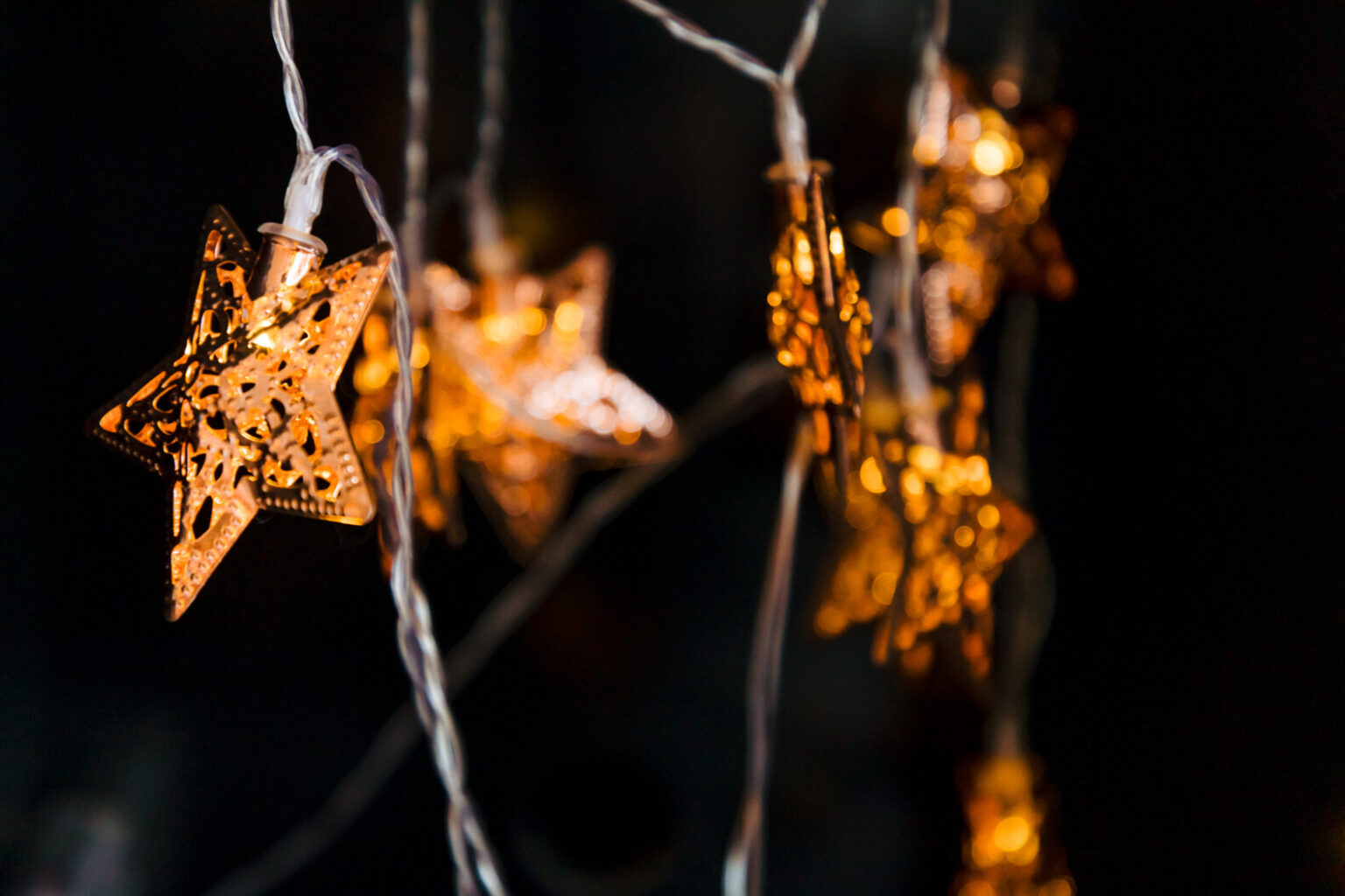 Festive Lights - The Fairy Light Shop