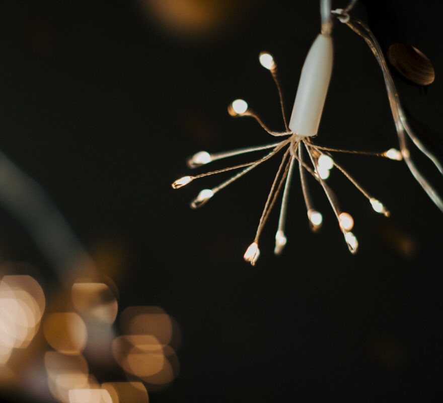 Seed Fairy Lights Archives - The Fairy Light Shop